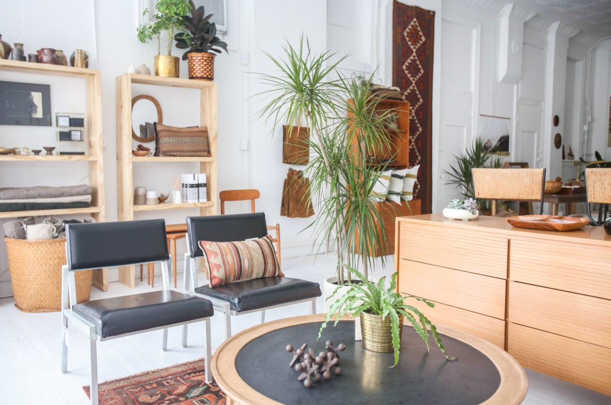 Carefully Curated Classics – Robyn Elizabeth Dexter