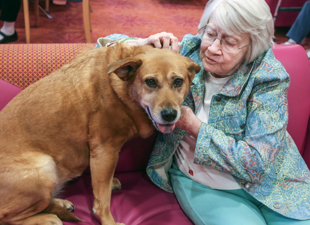 Happily Ever After: Andy and the Delmar Gardens of Chesterfield Family ...